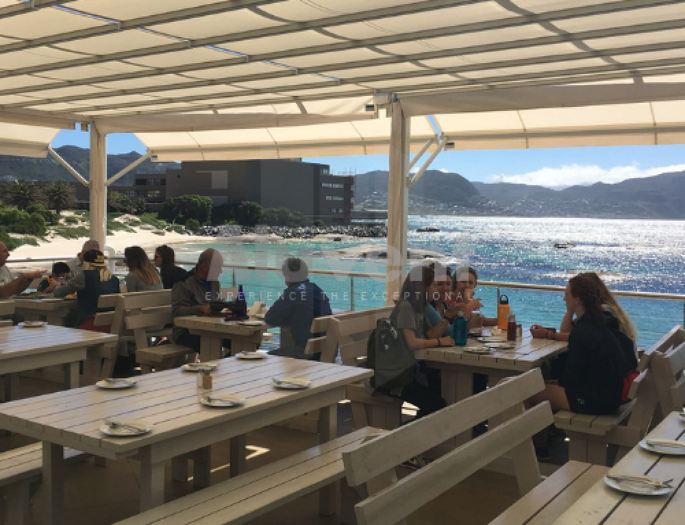 Fold Arm Awnings - Aluvent